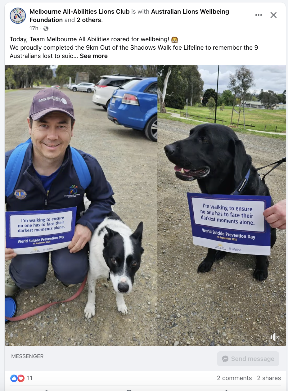Thank You Lions – What a Roar for Wellbeing! | Australian Lions ...